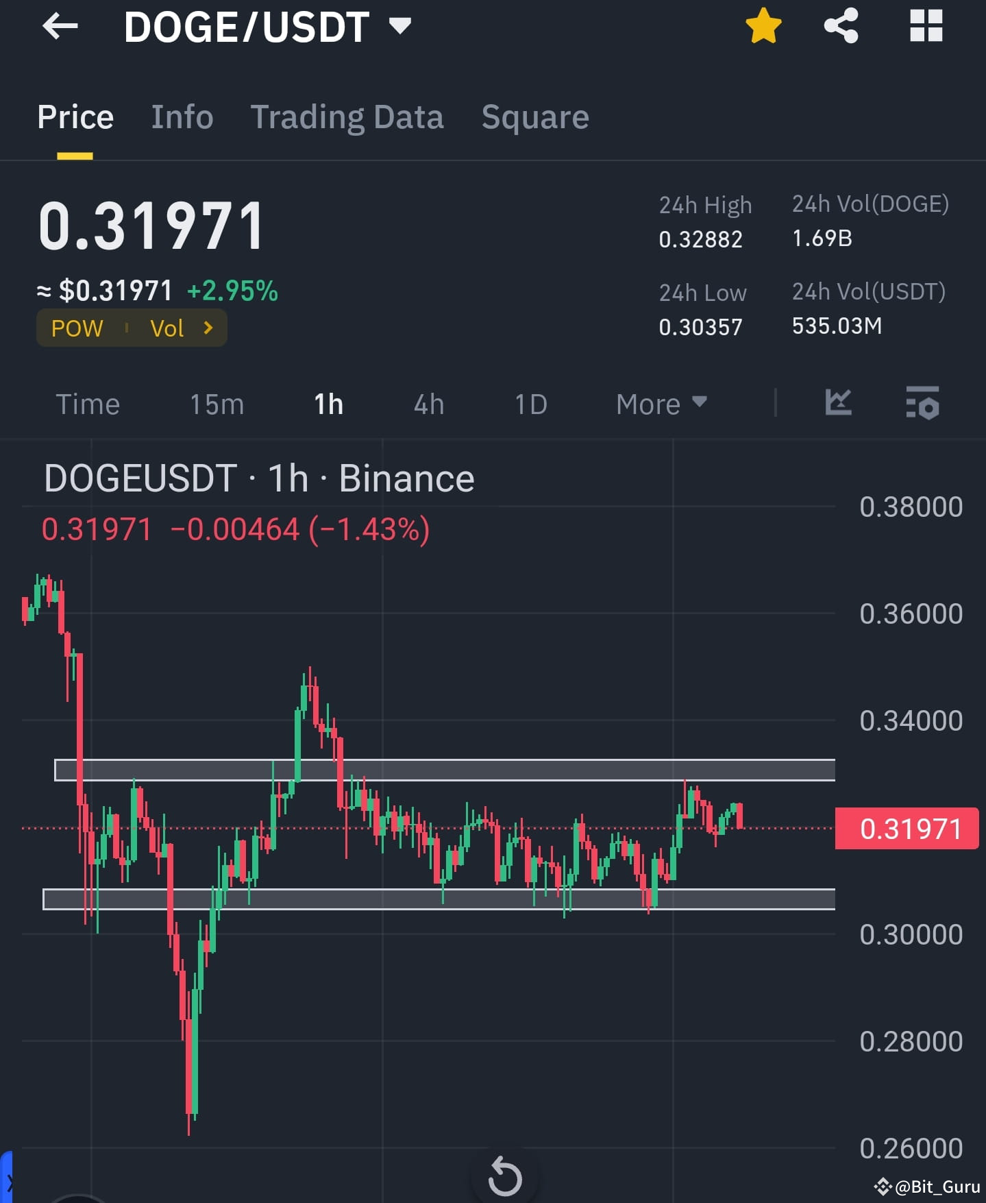 🚀 $DOGE Update 🔥 Current Price: $0.31971 (+2.95%) Key | Bit_Guru on ...