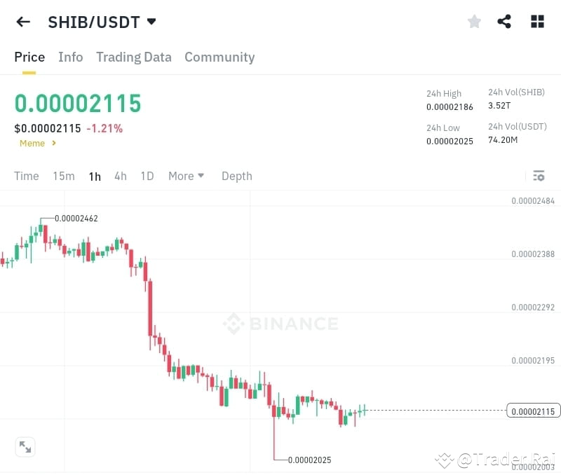 $SHIB /USDT Trading Signal – Consolidation Before a Breakout | Trader Rai on Binance Square