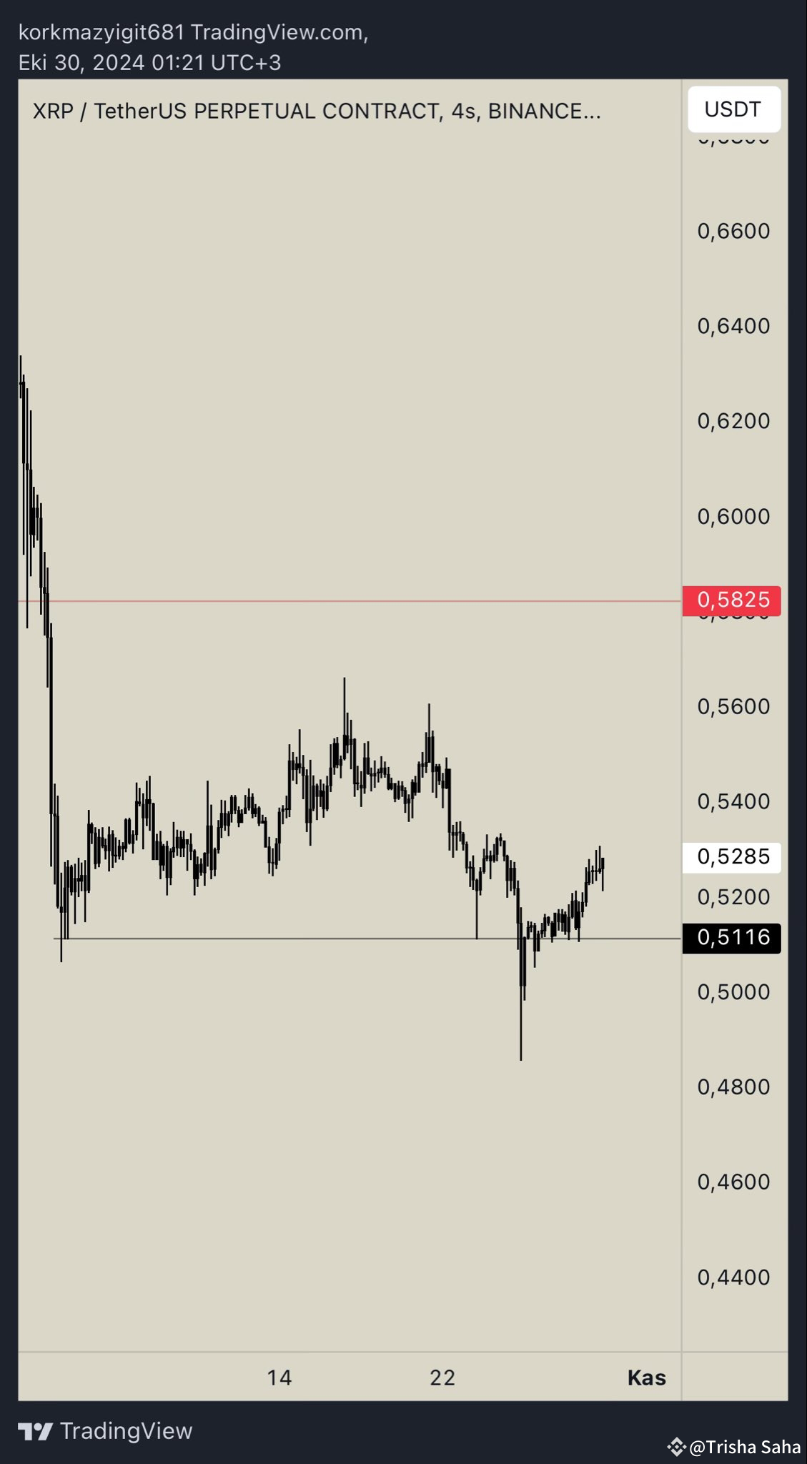 $XRP go go........🚀🚀 | Trisha_Saha on Binance Square