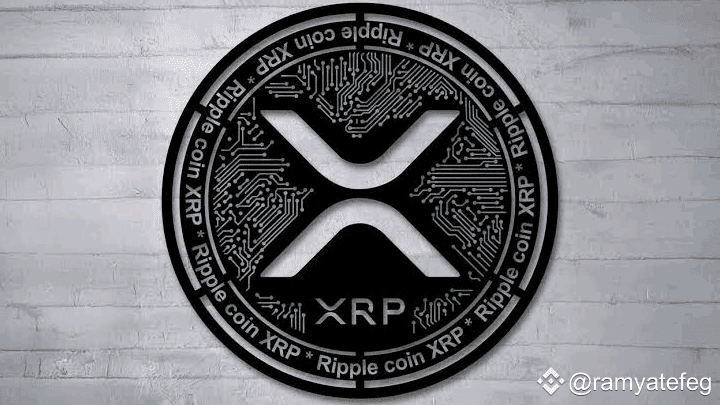 PDG de Ripple : la SEC s'apprête à abandonner ses politiques | Ramy ...