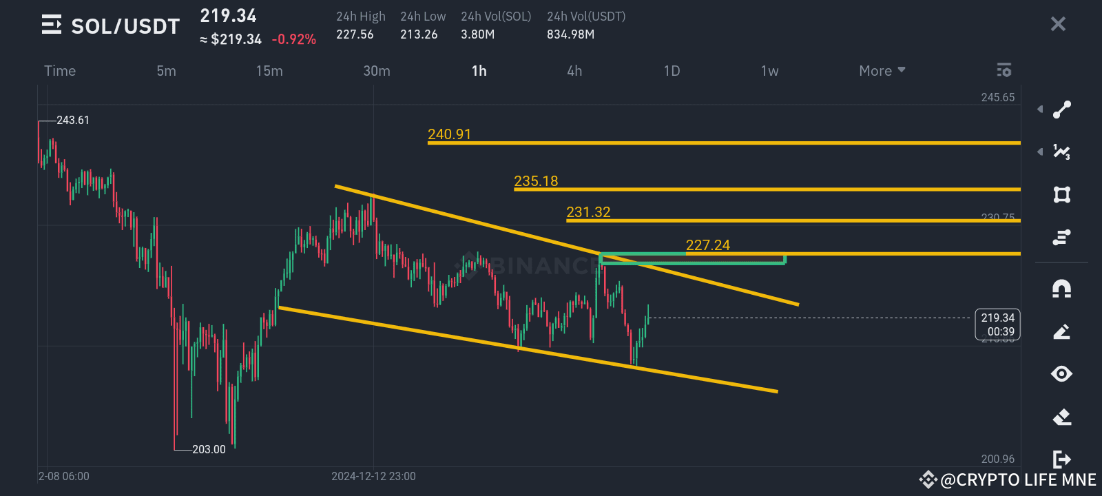 $SOL Next Move Alert🚨👀 Analysis For Long Term Timeframe! | CRYPTO LIFE MNE on Binance Square