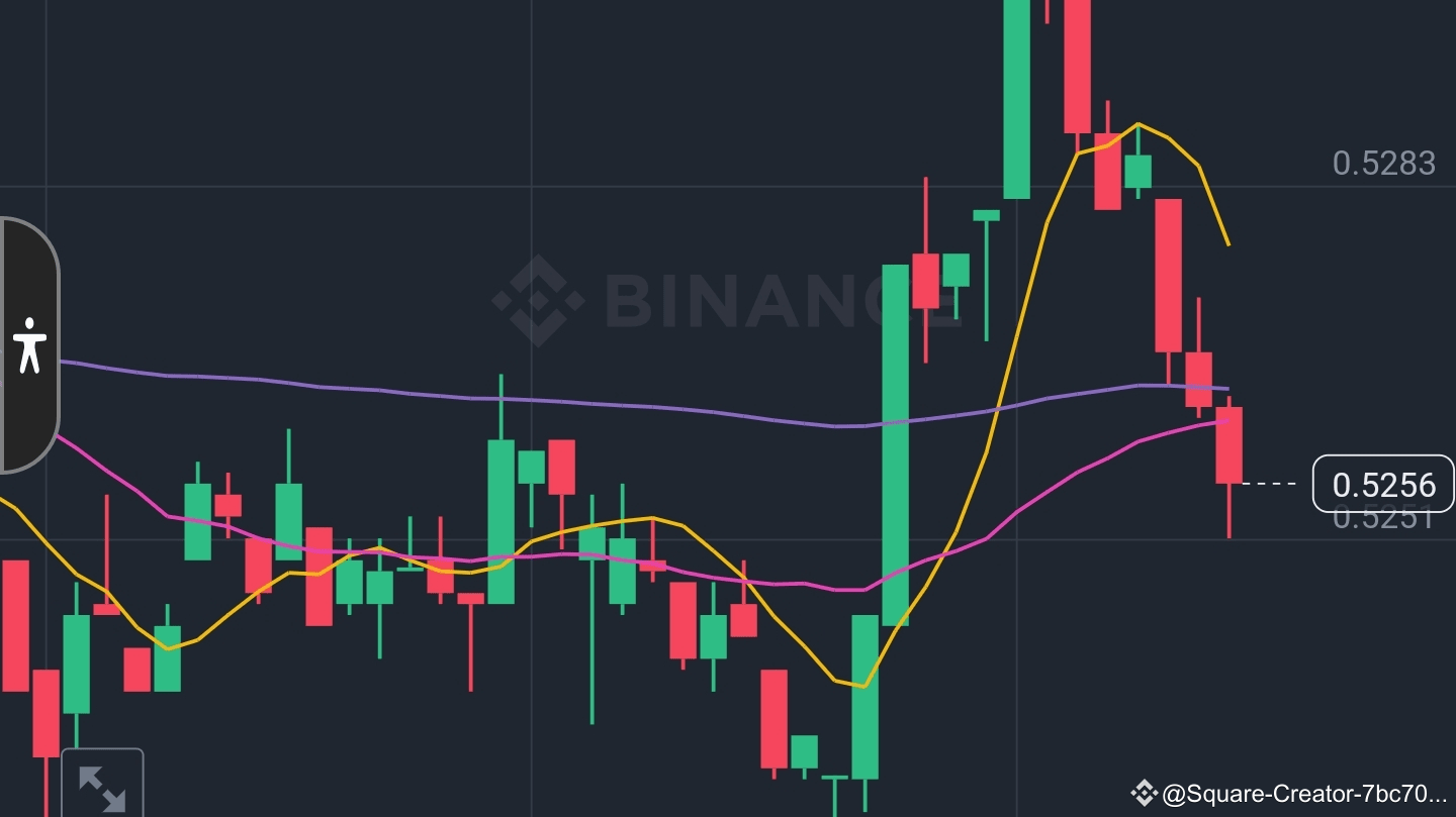 BB – Bulls are gaining control, ready for a bigger move… More solid ...