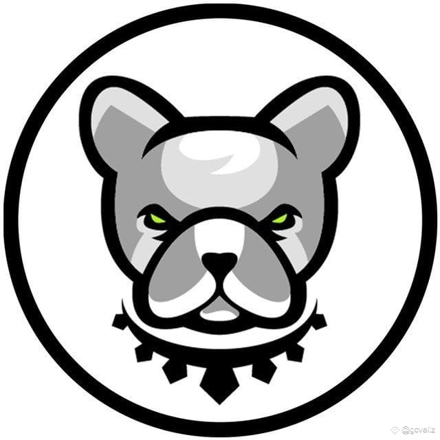 friends, does any of you know the pit token..??? | gcveliz on Binance ...