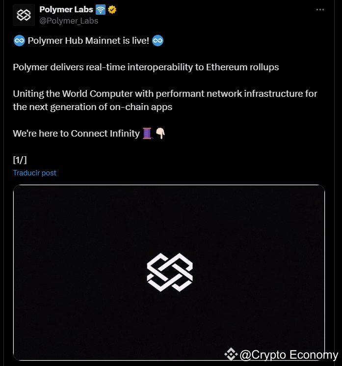 Polymer Hub Now Live on Ethereum Mainnet, Bringing Real-Time ...