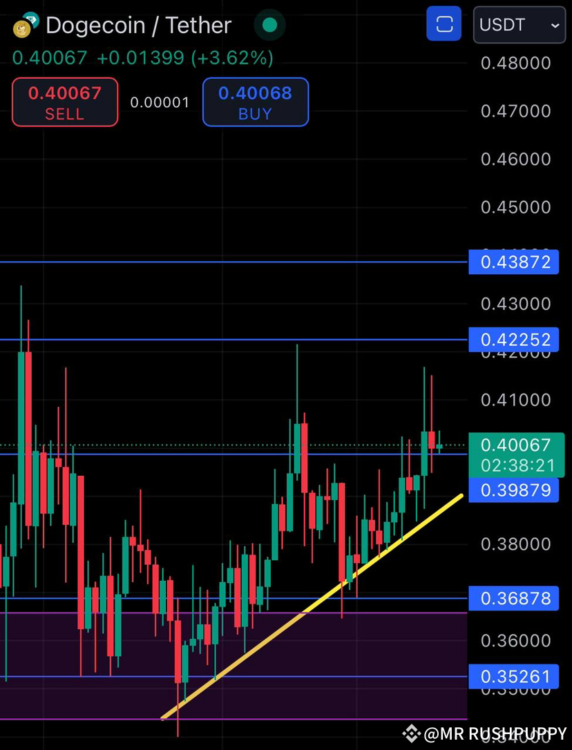 i have around $50 worth of doge coin longed here 50 cents i | MR ...