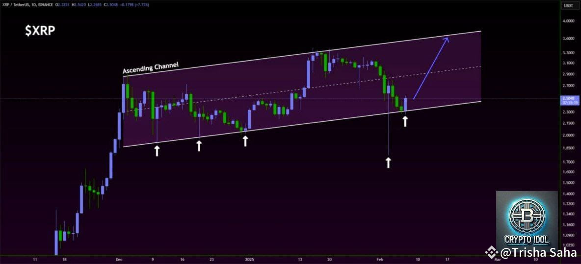 $XRP #XRP is holding firm at the lower boundary of its daily | Trisha_Saha on Binance Square