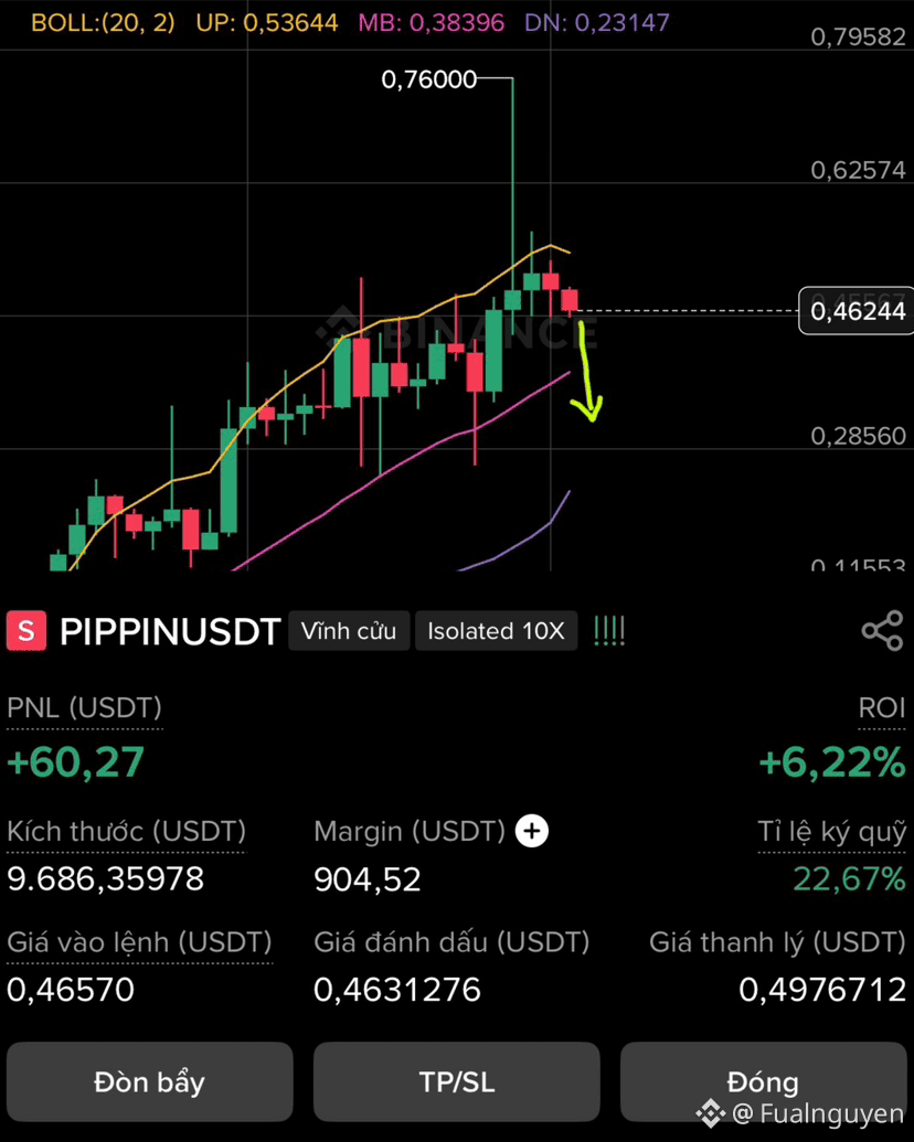 Futures Market Signals Short $PIPPIN Entry: 0.465 • TP | Fualnguyen on ...