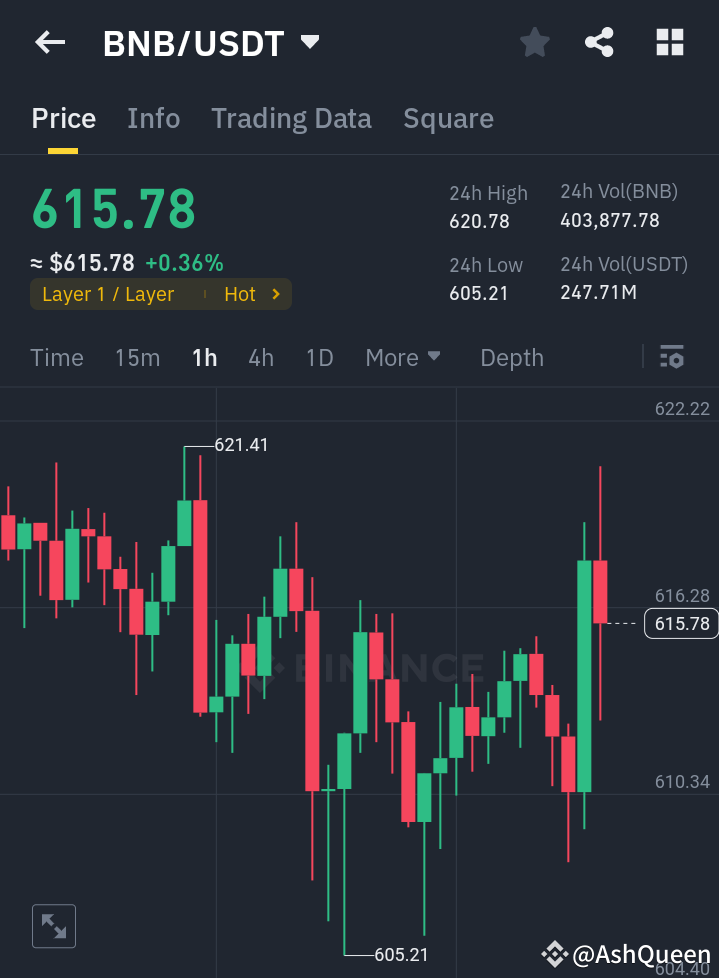 $BNB will hit back $605 Soon 🚨 $BNB /USDT: Crucial Levels i | AshQueen ...