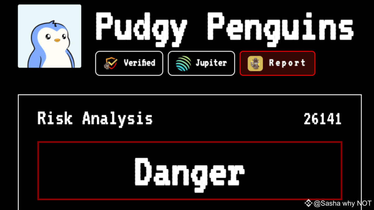 Overview of the PENGUIN token (Pudgy Penguins) | Sasha why NOT on ...