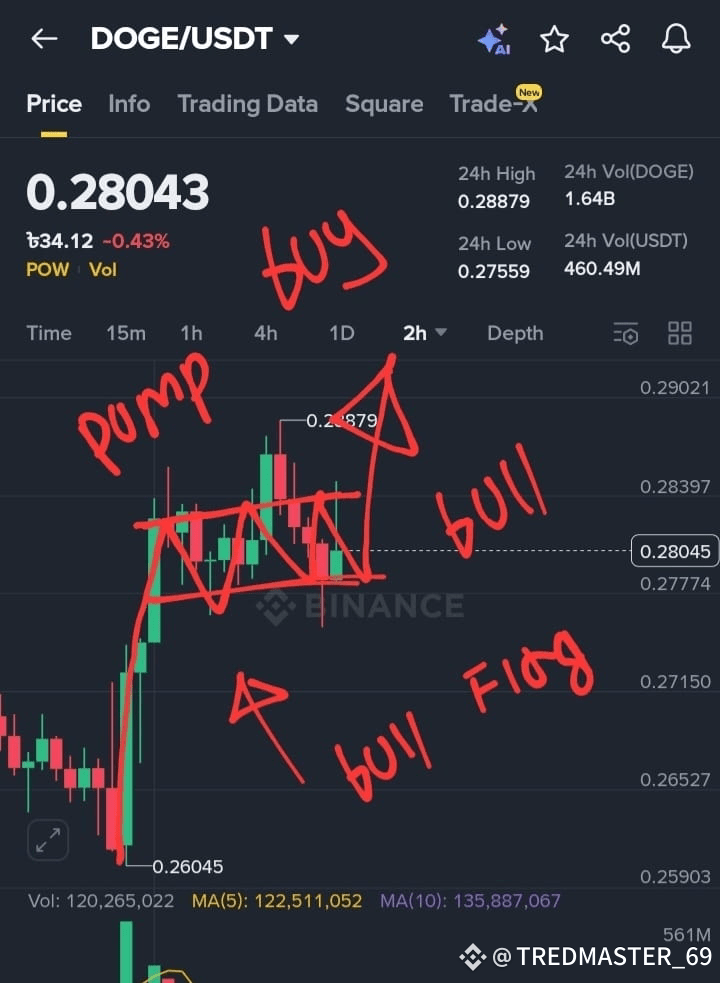 $DOGE DOGE Bullish Flag 🚀🐕 | Breakout Brewing as Whales Lo | TREDMASTER ...