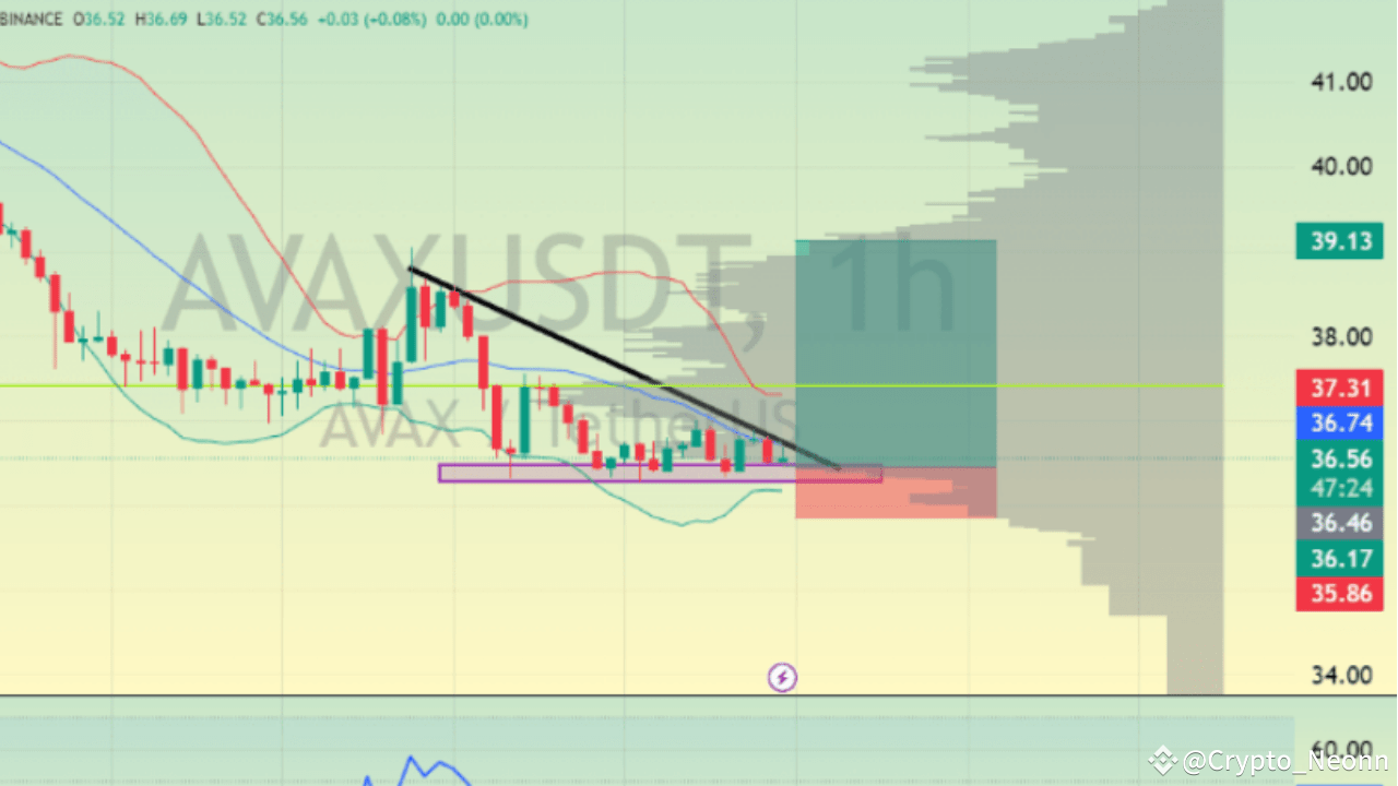 Avax ready to pump?? | Crypto Elonx on Binance Square