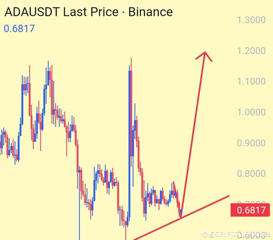 ⚡️ #ADA /USDT 🔵#LONG [FUTURE] 💠 LEVARAGE : 10X-20X 💰 | CRYPTO _WHALE69 on Binance Square