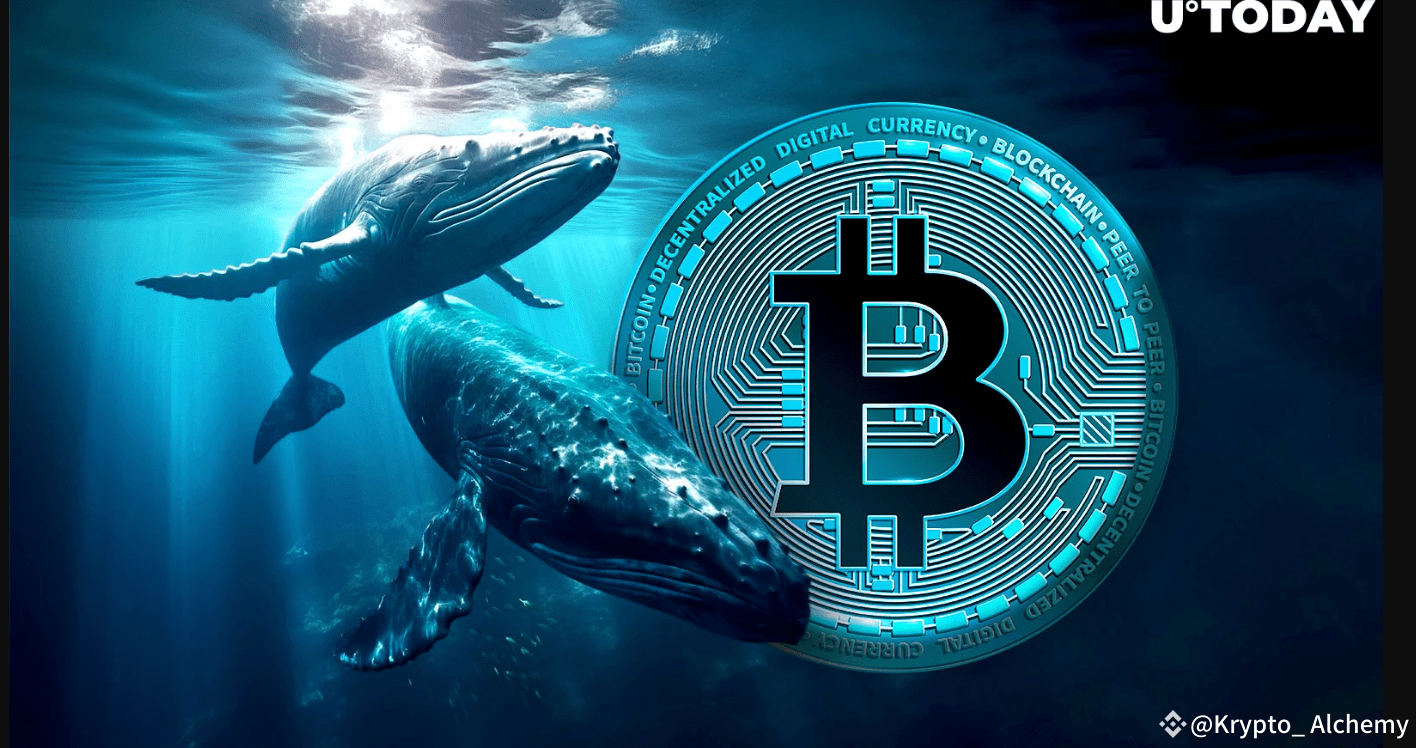 3 Whales Prefer the Newly Released Meme Coin: Heavy Intake i | Krypto ...