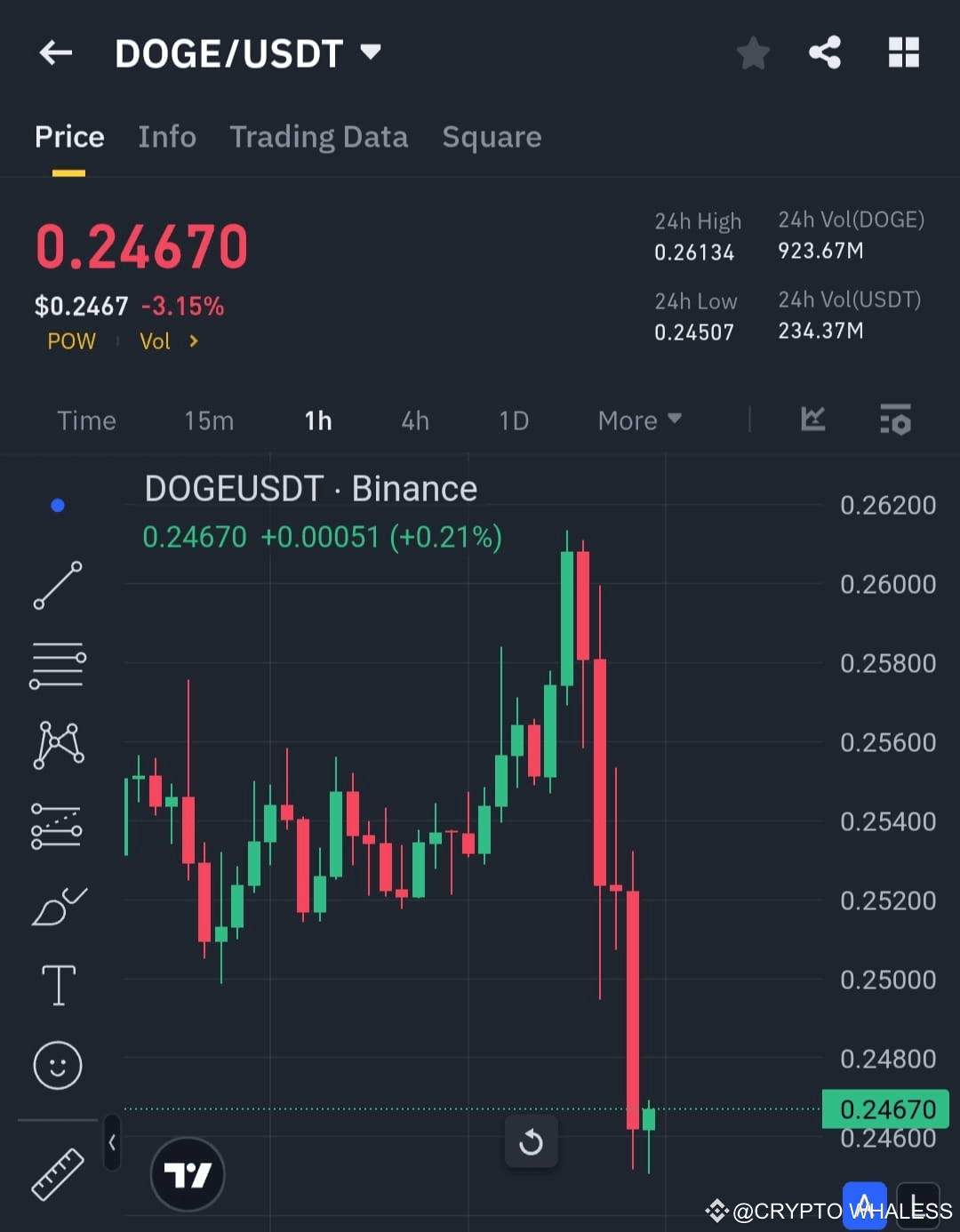 🚨🔥 $DOGE /USDT COLLAPSES – WILL IT FALL FURTHER? 🔥🚨 📌 | CRYPTO WHALESS on Binance Square
