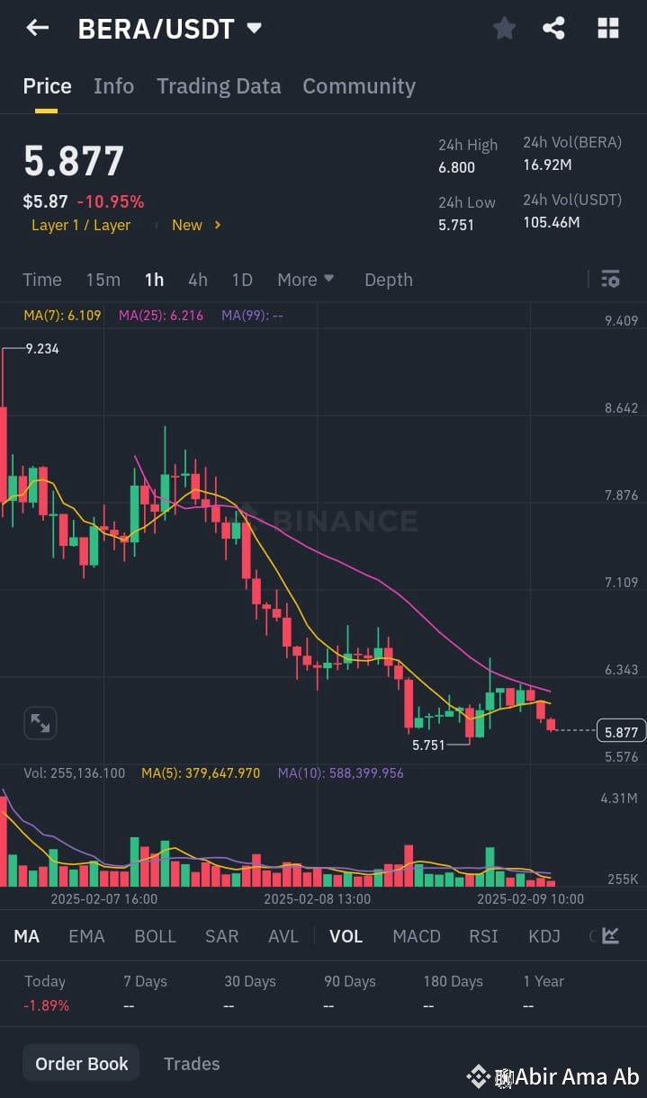 🚀 **BERA – The New Frontier in Layer 1 Innovation!** 🌐 🔹 | Abir Ama Ab ...