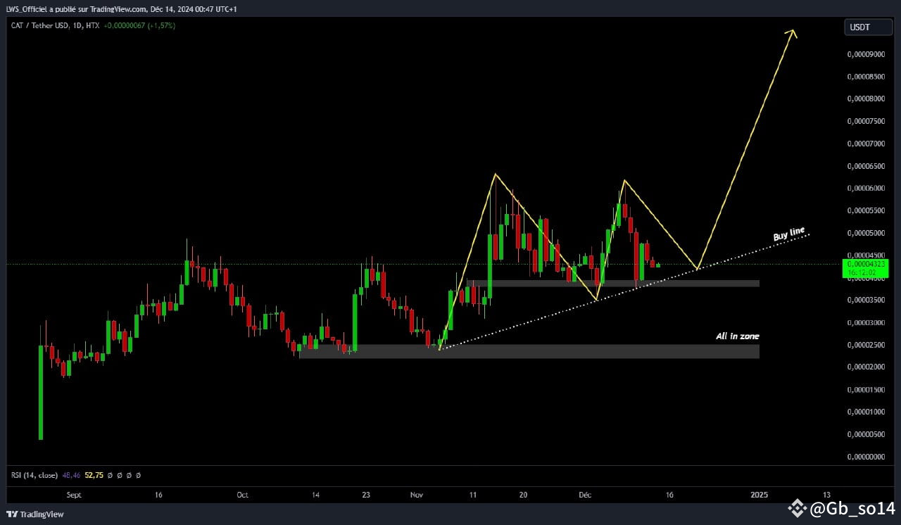 $1000CAT I have a feeling that the $CAT SZN is imminent. | Gb_so14 on ...