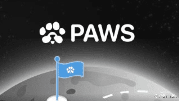 PAWS Airdrop Listing Date & Price Prediction – All You Need to Know ...