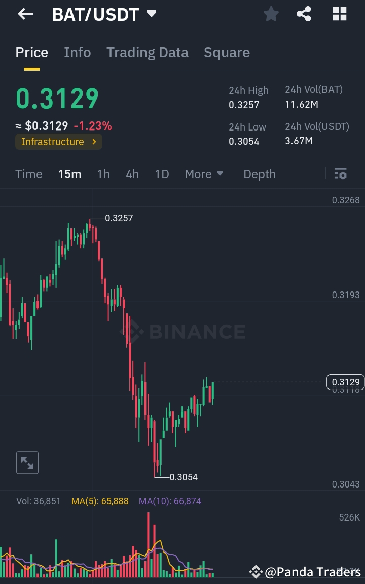 $BAT started recovery Buy now Target :0.38$ #Write2Earn! | Panda Traders on Binance Square