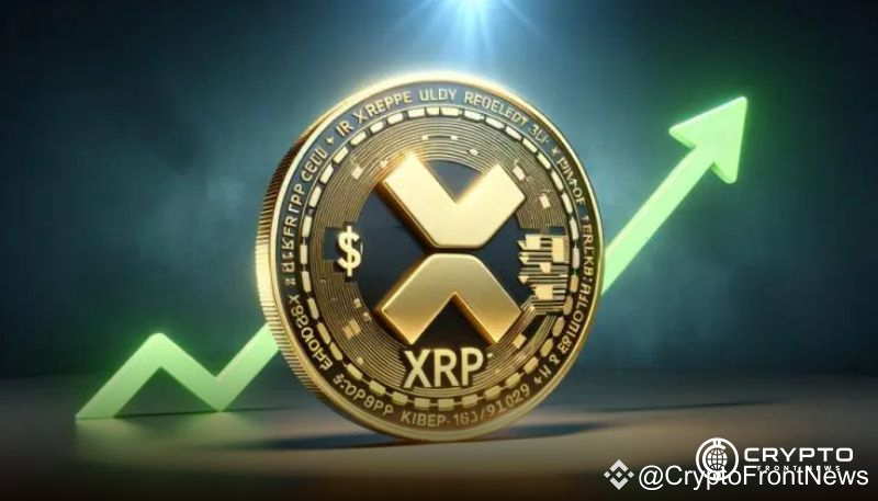 XRP Price Update November 4: XRP Surges Above 50 Cents: But Will Support Hold Amid High ...