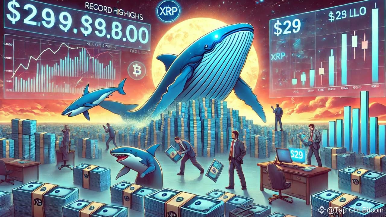 Large investors accumulate XRP reaching a new record, worth more than ...