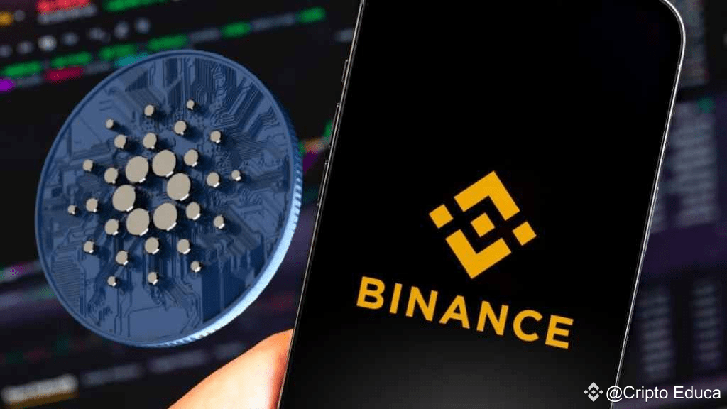 Binance will temporarily suspend withdrawals on the Cardano network today. | Cripto Educa on ...