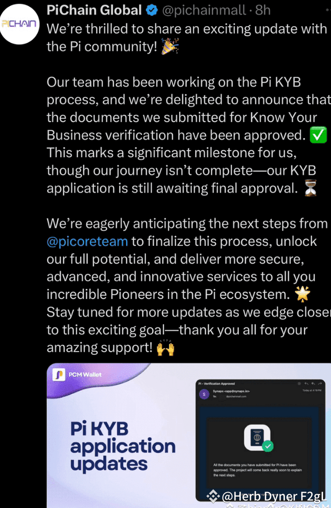 #pi #updats Pi Network! Chain Global's KYB submission | Herb Dyner F2gL ...