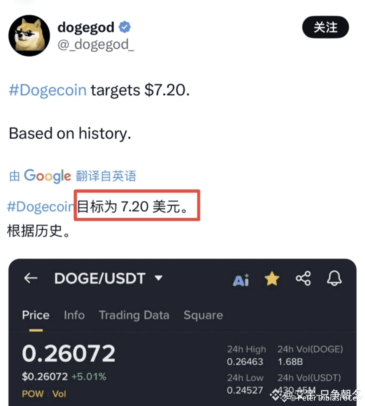 DOGE foreigners see 7.2 dollars, hahaha! I still see it norm | Peter ...