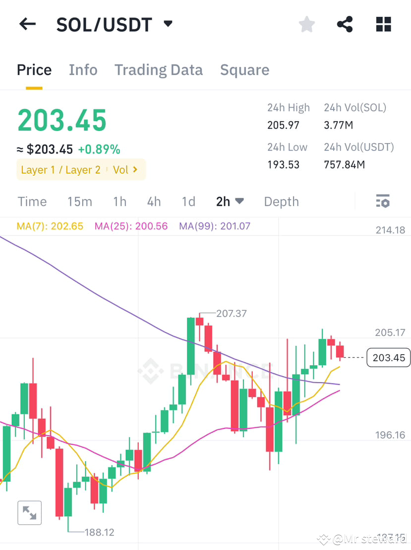 $SOL (SOL/USDT )trading chart on a 2-hour timeframe from | Mr steward ...