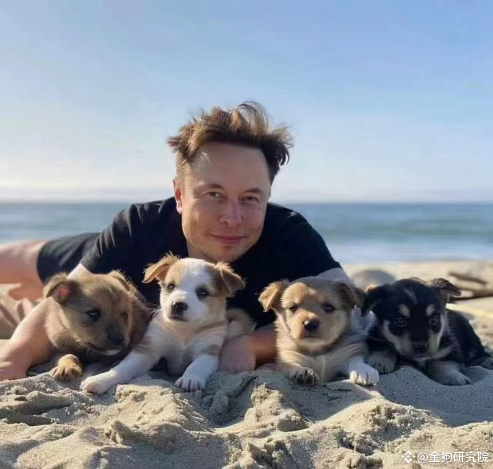 Suddenly discovered that Musk is really scary!!! From a bro | 金狗研究院 on ...