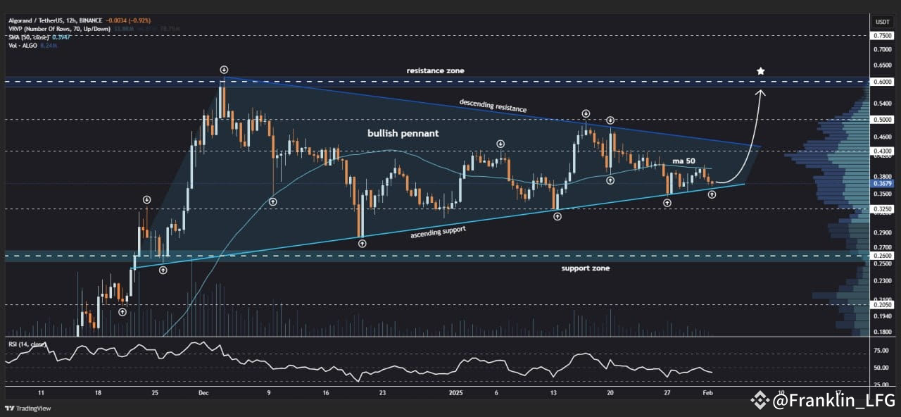$ALGO is showing strong potential on the 12-hour chart with | Franklin ...