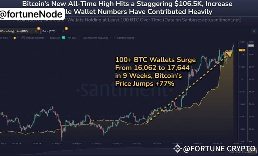 📊 #BTC Santiment: BTC rises to $106.5K for the first time. | FORTUNE ...