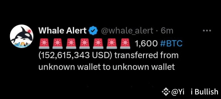 🚨 BTC SHOCKWAVE! 🚨 Whale Move Triggers Market Panic! 😱💸 | Yi Xi Bullish ...