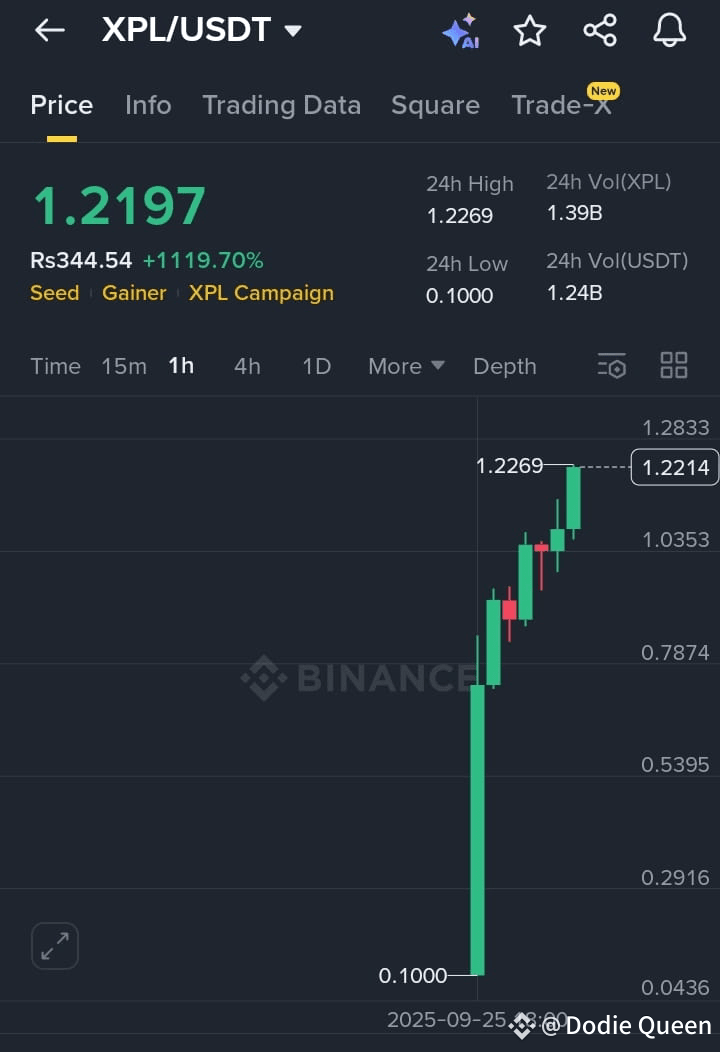The $XPL USDT pair on Binance has delivered an extraordinary | Gulabo ...