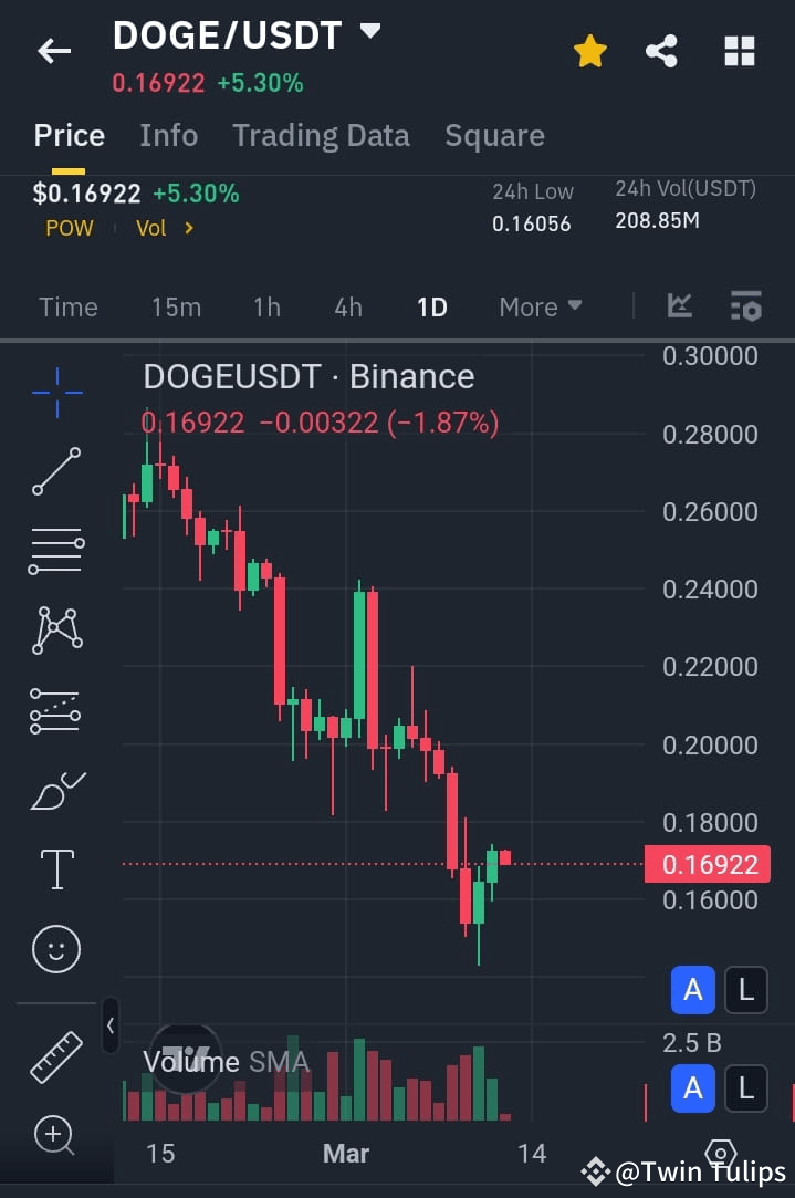 Wowww #DOGECOIN is making moves! $DOGE /USDT is currently | Twin Tulips on Binance Square