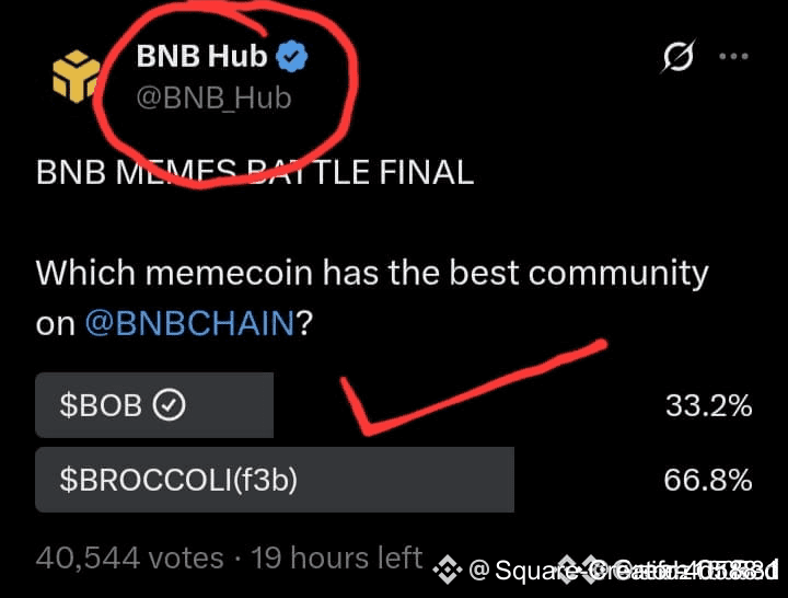 Vote for Bob on X and invest in it $BOB #bob | Talal_10 on Binance Square