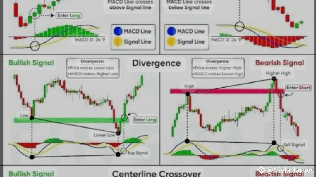 Master the MACD: The Ultimate Cheat Sheet for Catching Every Signal 🚀📈 Learn to leverage the ...