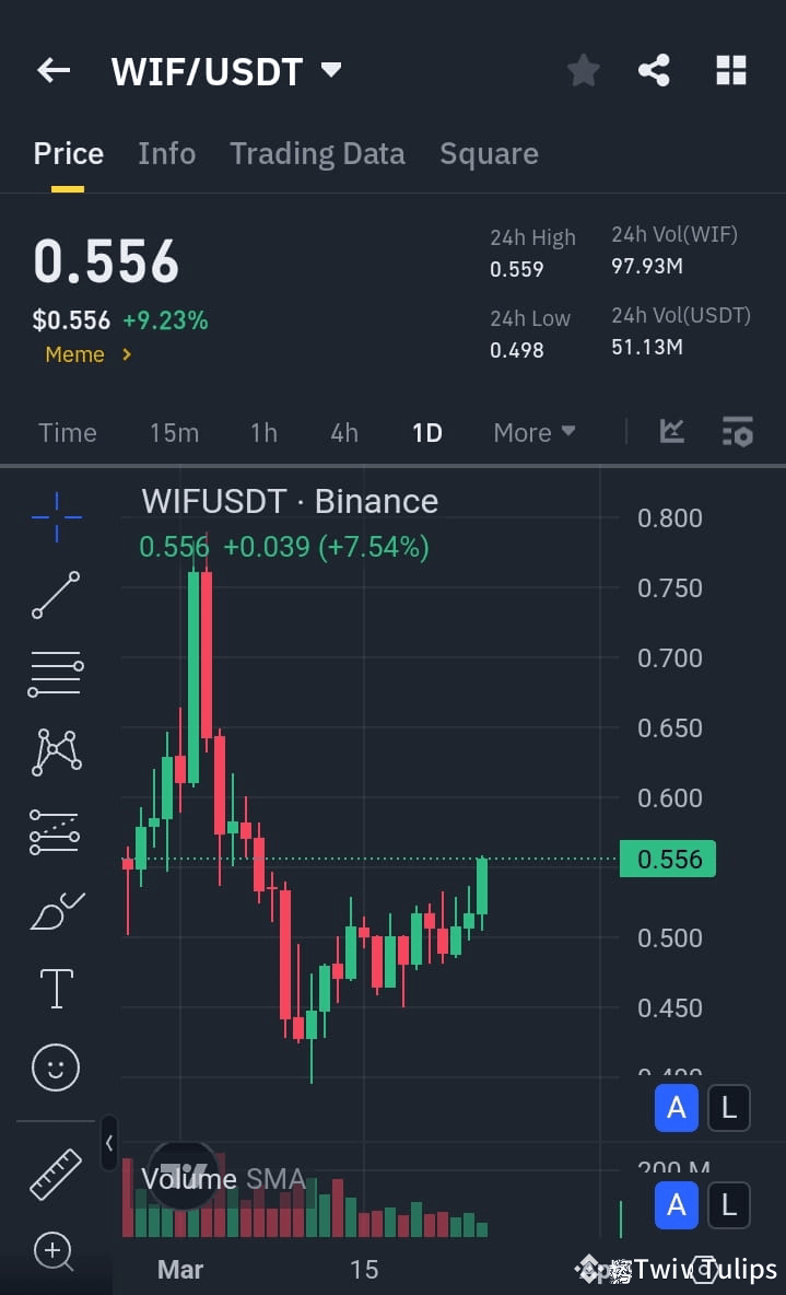 𝙒𝙄𝙁/𝙐𝙎𝘿𝙏 𝙋𝙧𝙞𝙘𝙚 𝘼𝙘𝙩𝙞𝙤𝙣: 𝘽𝙪𝙡𝙡𝙞𝙨𝙝 𝙈𝙤 | Twin Tulips on Binance Square