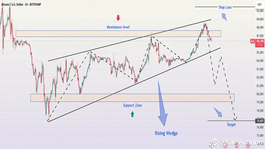 Bitcoin (BTC/USD) – Rising Wedge Breakdown & Trading Setup | Trisha ...