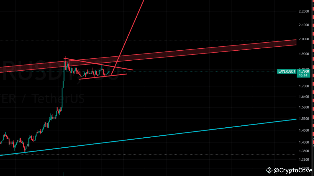 Layer coin can pump more than 30% from here | CryptoCove on Binance Square