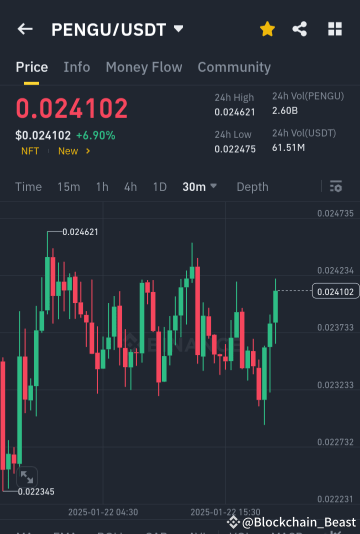 $PENGU /USDT Bull Run Alert!🔥💯 Current Price: $0.024102 | Blockchain_Beast on Binance Square