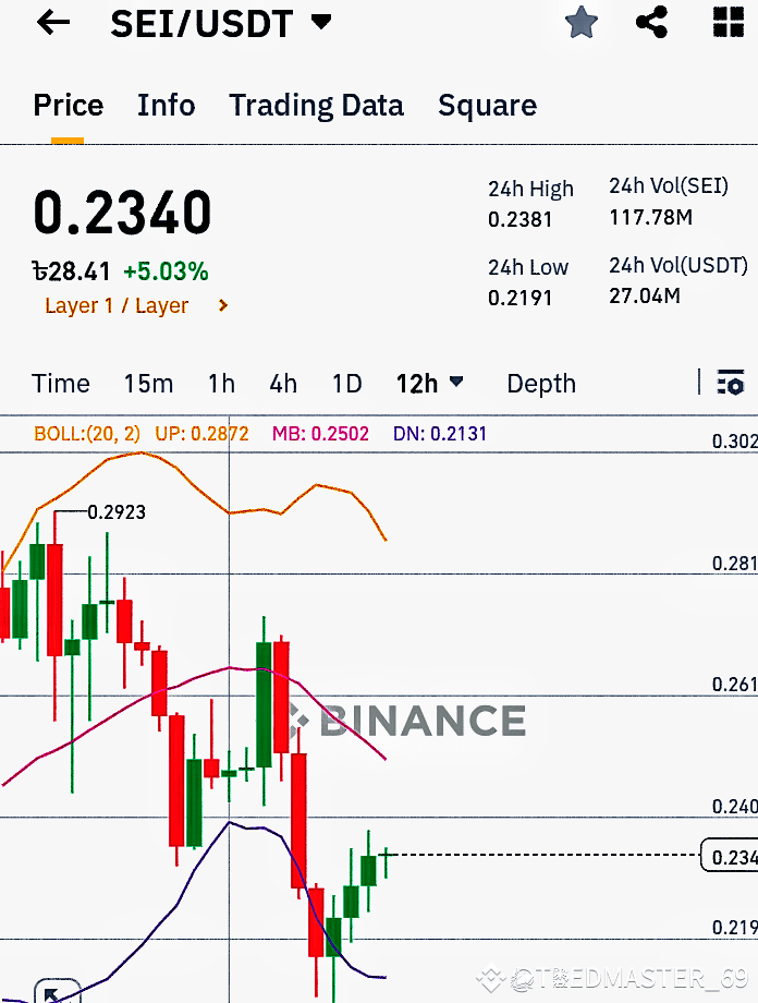 $SEI Big pump!!! 🚀🔥 MASSIVE SEI TOKEN PUMP INCOMING! 🔥 | TREDMASTER_69 on Binance Square