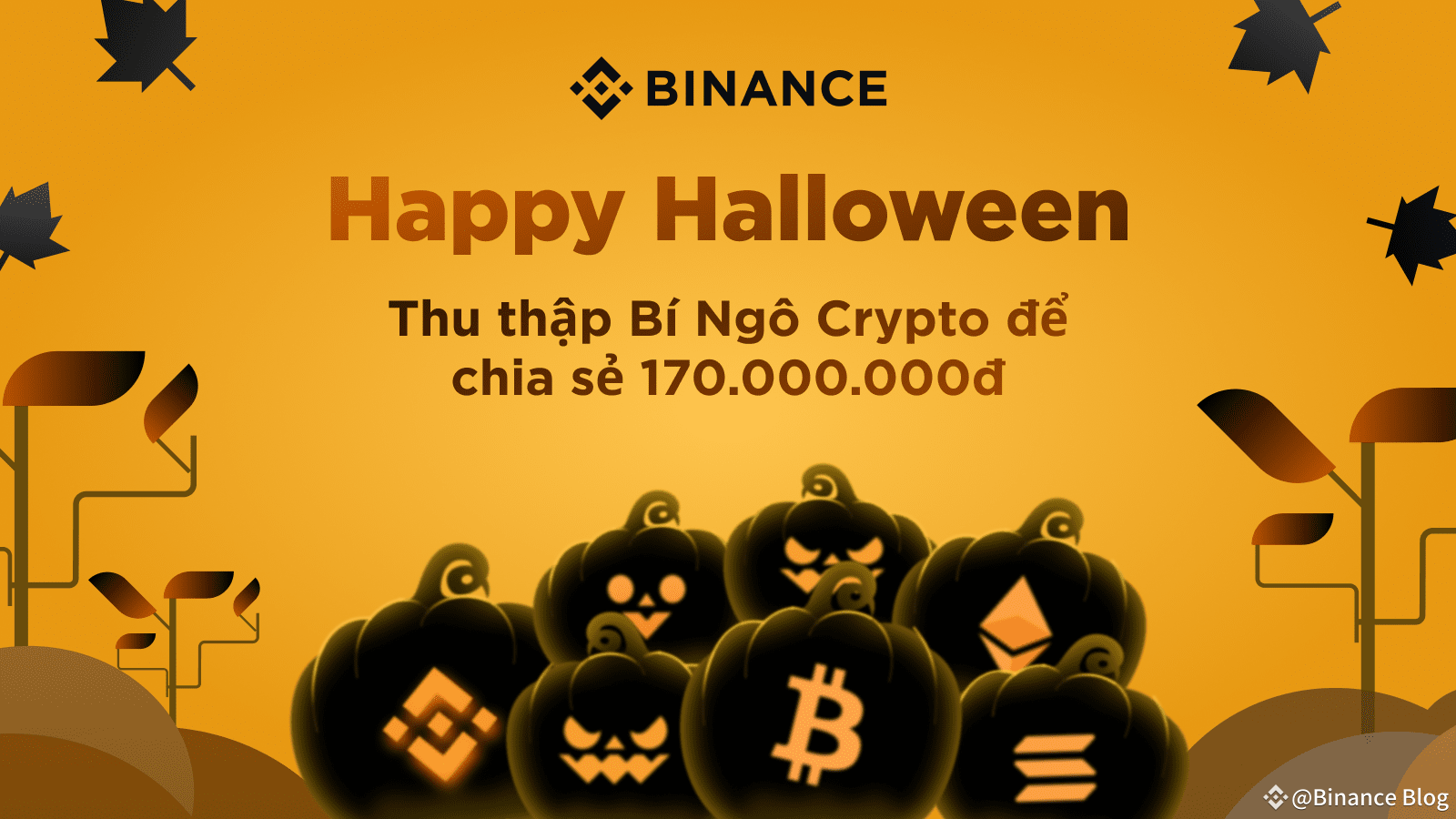 Collect Crypto Pumpkins and Share 170,000,000 VND | Binance Blog on Binance Square