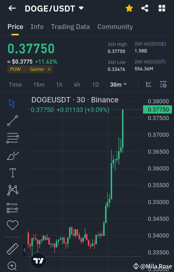 My Prediction VIP Signal$DOGE /USDT: Bullish Momentum Confir | Mila ...