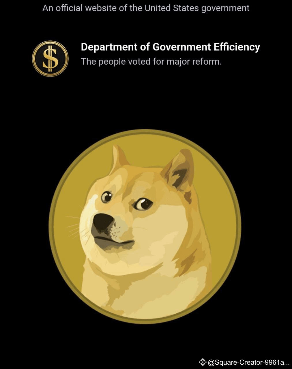 The official website of the US government coin #DOGE has be | Crypto LY ...