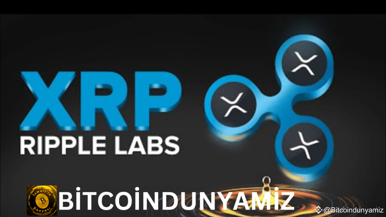 XRP Coin Price Analysis: Whale Accumulation Lights the Fire of Speculation Amid Market Decline ...