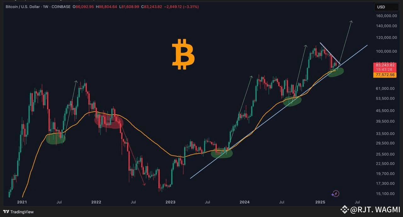 🚨🚨 What’s the ultimate bear market signal? It’s the 50-we | RJT. WAGMI on Binance Square