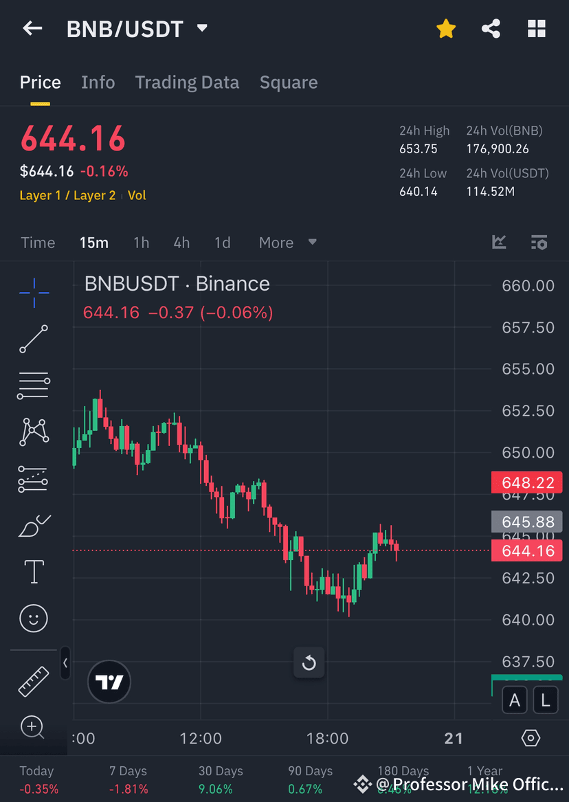 $BNB /USDT SHORT TRADE SETUP — BEARISH ENTRY JUST ACTIVATED! | Professor Mike Official on ...