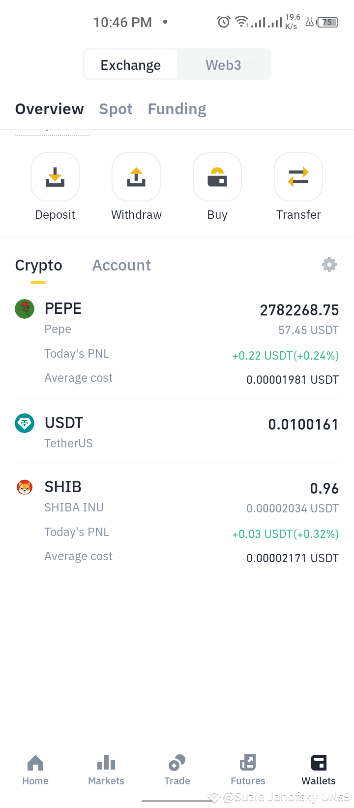 I have little bit money I buy $PEPE . Is this good | Suzie Janofsky ...