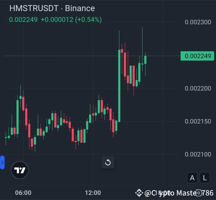 🚀 $HMSTR /USDT – Bull Run Alert! 🔥 📊 Current Price: $0.0 | Crypto Master 786 on Binance Square