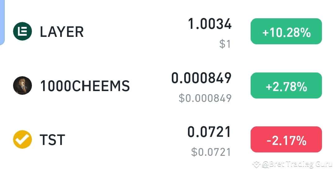 📈 $1000CHEEMS ($1000CHEEMS ) Market Analysis & Signal | Bret Trading Guru on Binance Square